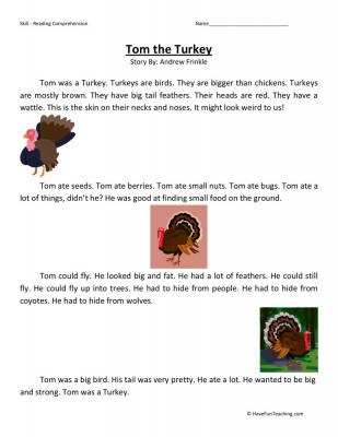 Reading Comprehension Worksheet - Tom the Turkey
