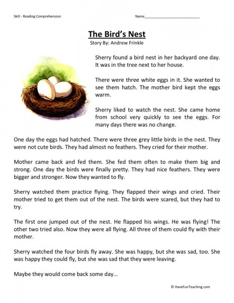 Reading Comprehension Worksheet - The Bird's Nest