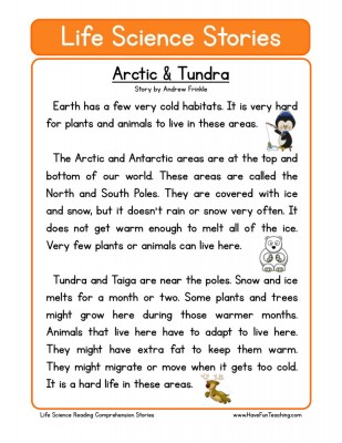 Reading Comprehension Worksheet - Arctic & Tundra