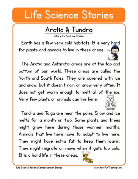 Fourth Grade Reading Comprehension Worksheets