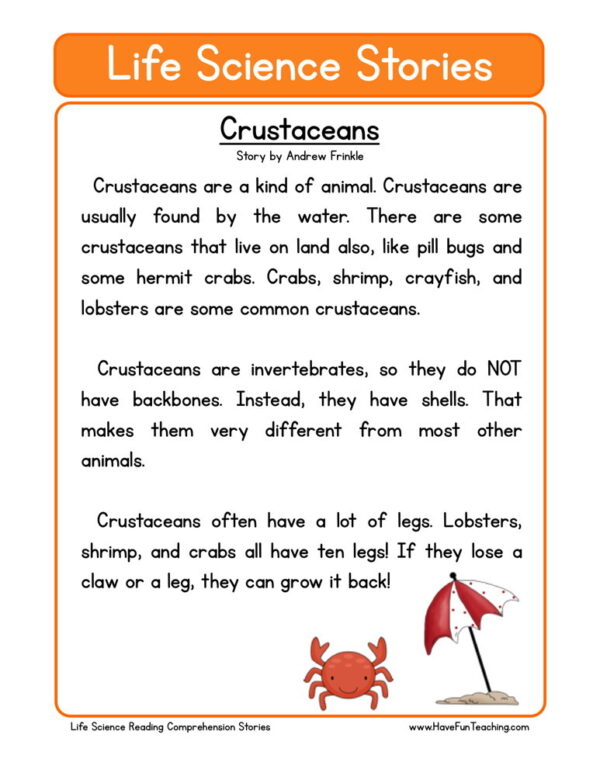 Fourth Grade Reading Comprehension Worksheets