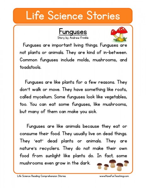 Reading Comprehension Worksheet - Funguses