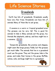 Reading Comprehension Worksheet - Grasslands