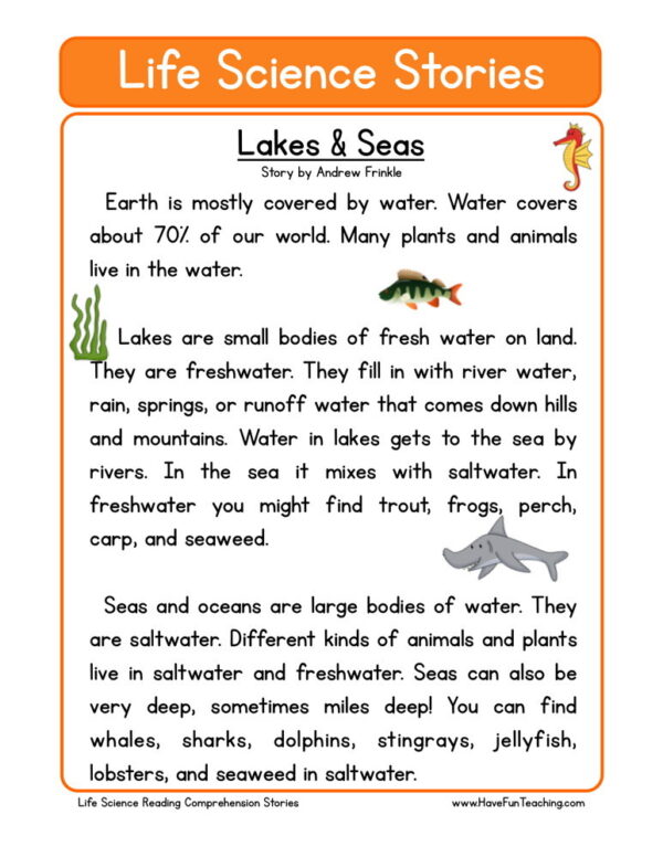 Fourth Grade Reading Comprehension Worksheets