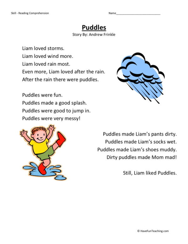Reading Comprehension Worksheet - Puddles